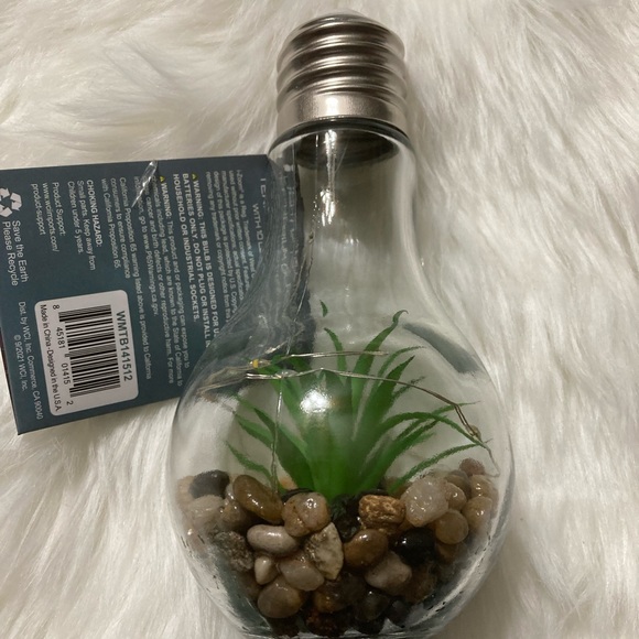 Accents | Light Up Multi Color Terrarium Glass Light Bulb | Poshmark